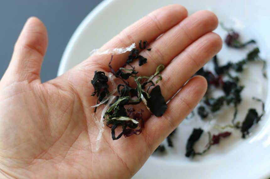 Japanese Tofu and Seaweed Salad Recipe | Chef JA Cooks Simple Gohan