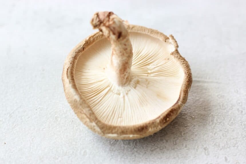 Savory Roasted Shiitake Mushrooms With Cheese - Chef JA Cooks