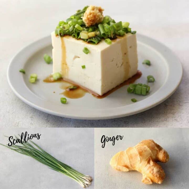 8 Ways To Enjoy Hiyayakko (Japanese Cold Tofu Recipe) - Chef JA Cooks