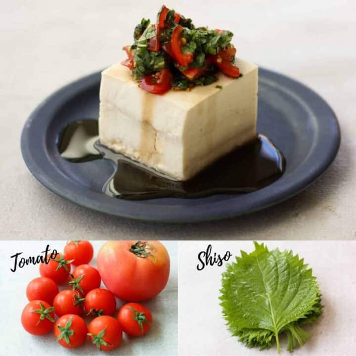 8 Ways To Enjoy Hiyayakko (Japanese Cold Tofu Recipe) - Chef JA Cooks