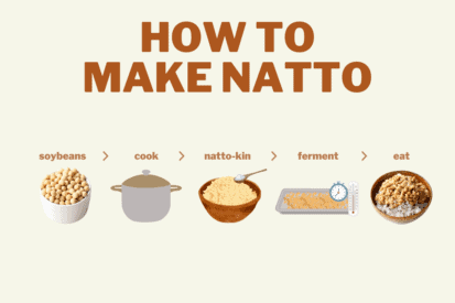 What is Natto? A Quick Guide to Japanese Superfood - Chef JA Cooks