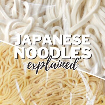 What Are Udon Noodles? A Guide to Delicious Japanese Food - Chef JA Cooks