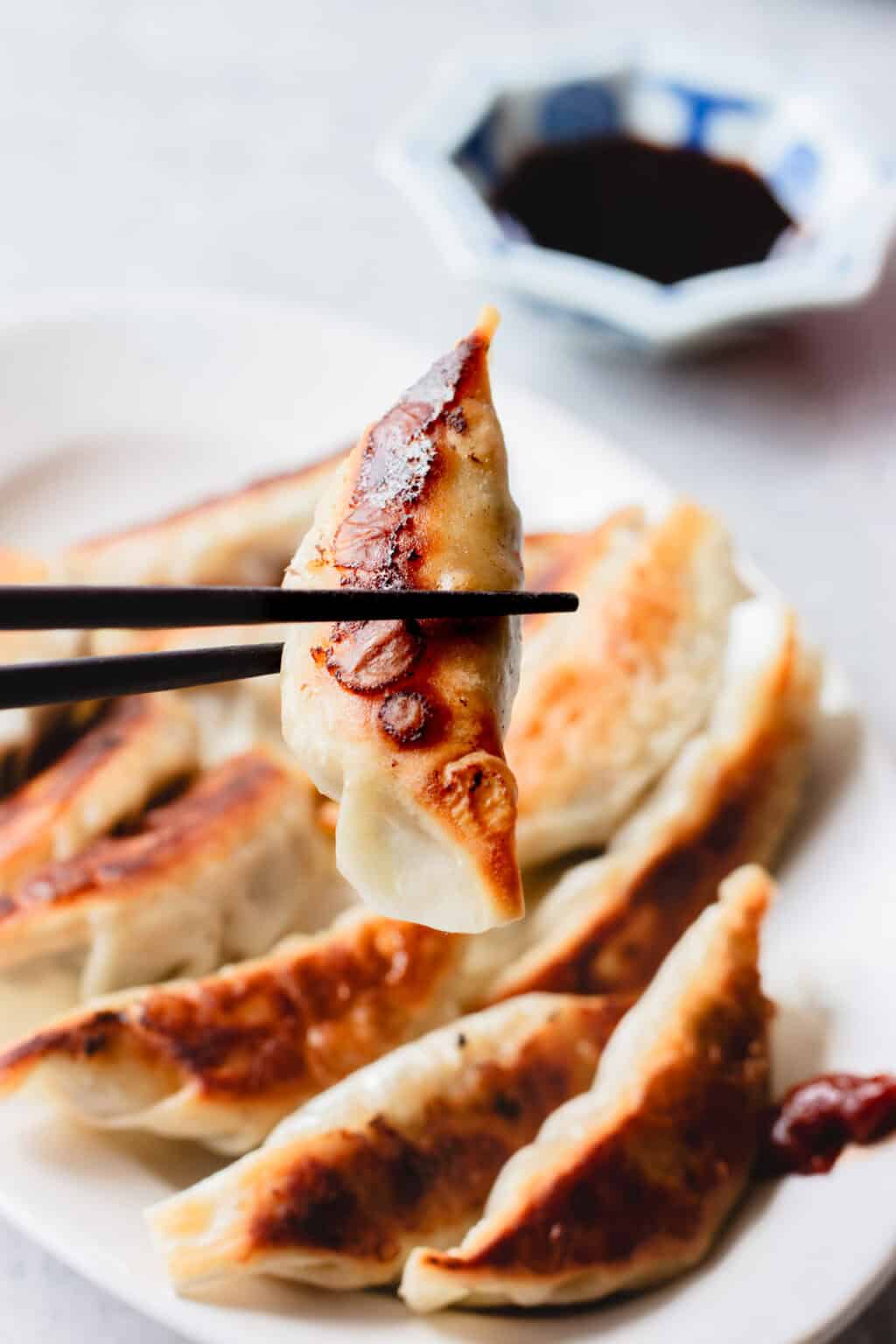Easy Vegetable Gyoza Recipe (Vegan) - Chef JA Cooks