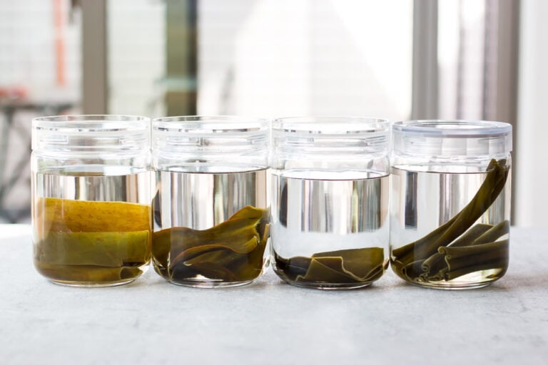 Types of Kombu and How to Use Them - Chef JA Cooks