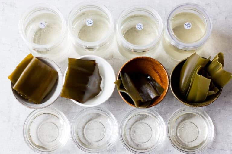 Types of Kombu and How to Use Them - Chef JA Cooks