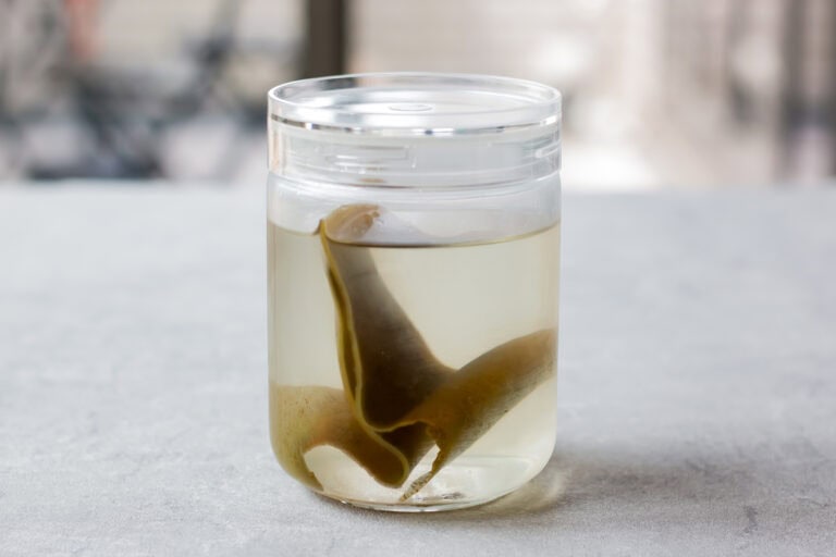 Easy Cold-Brewed Kombu Dashi Recipe - Chef JA Cooks