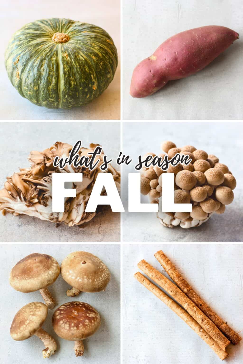What’s in Season: Fall Vegetables in Japan - Chef JA Cooks