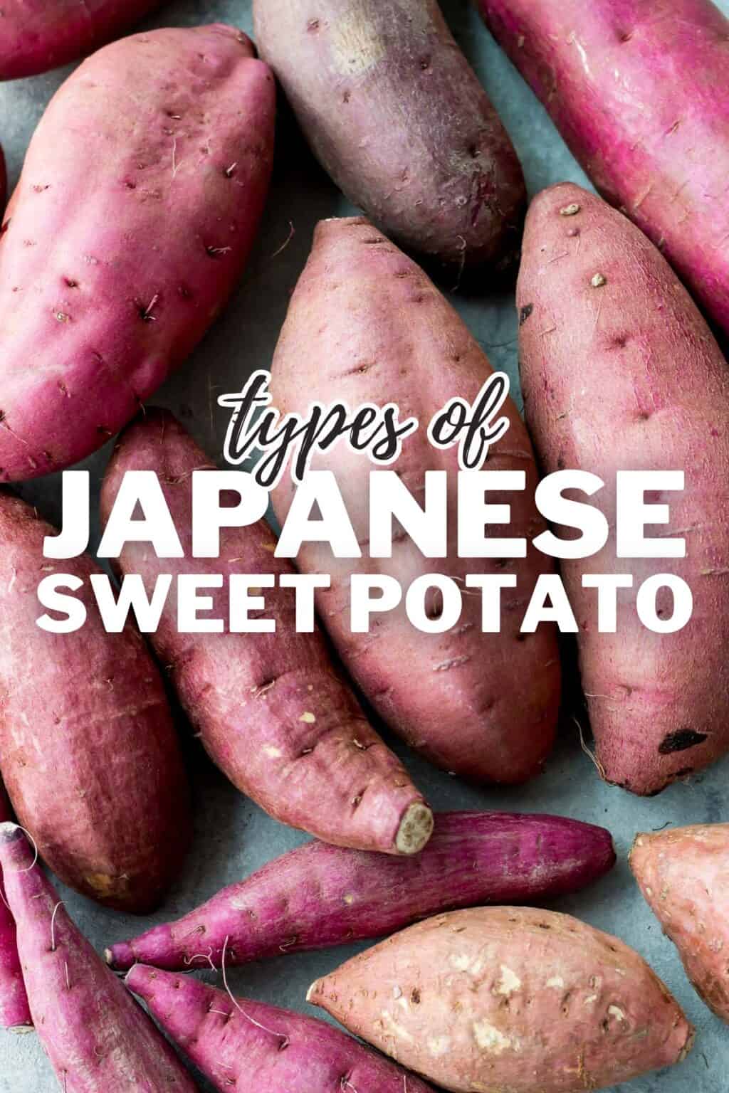 Types of Japanese Sweet Potatoes and Their Flavors - Chef JA Cooks